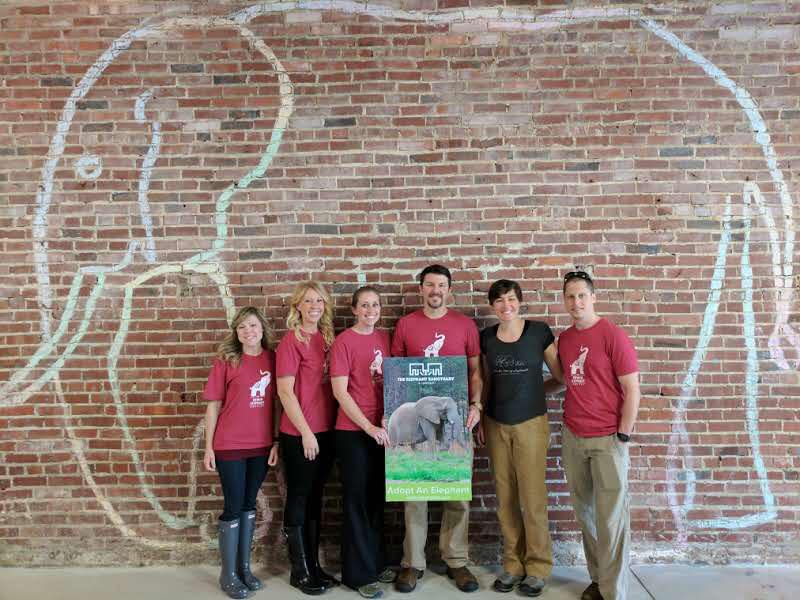 Elephant Statues Debuted during Erwin’s 2nd Annual Outdoor Festival ...